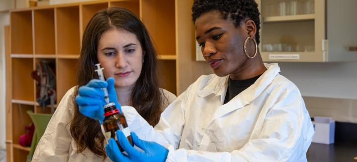 Healthcare | Quinsigamond